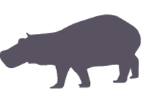 Africa Dream Safaris